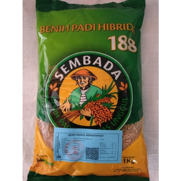 Jual BENIH PADI HIBRIDA SEMBADA 188 KEMASAN 1 KG | Shopee Indonesia