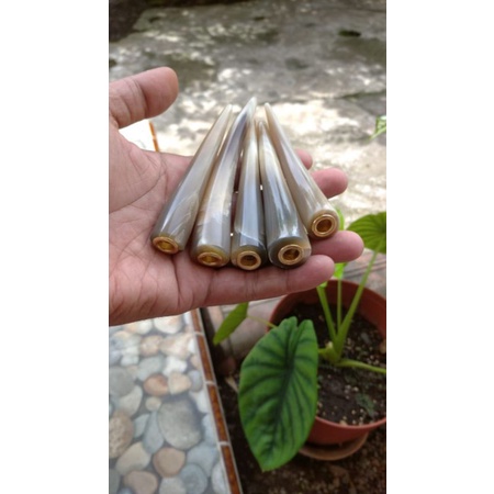 Jual once pipa rokok tanker/tanduk kerbau bule | Shopee Indonesia