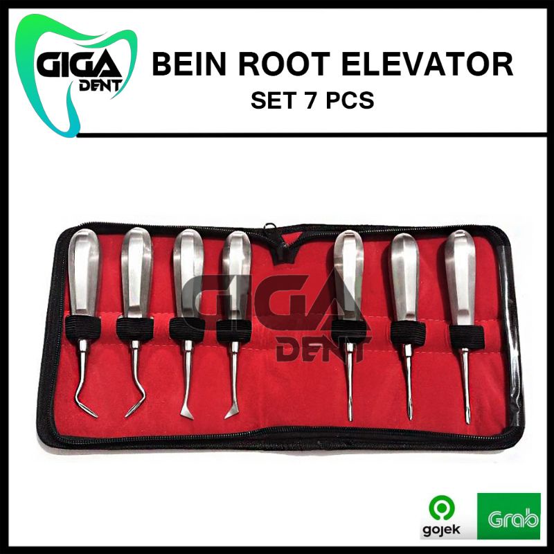 Jual BEIN ROOT ELEVATOR CRYER SET 7 | Shopee Indonesia