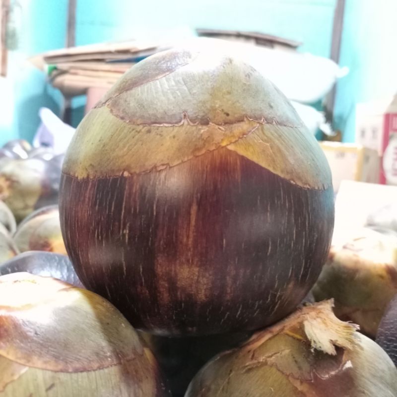 Jual Buah Siwalan Super Berat 1,5-2 kg | Shopee Indonesia