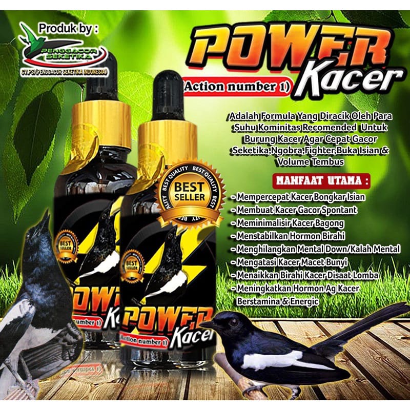 Jual POWER KACER VITAMIN BURUNG KACER LOMBA GACOR | Shopee Indonesia