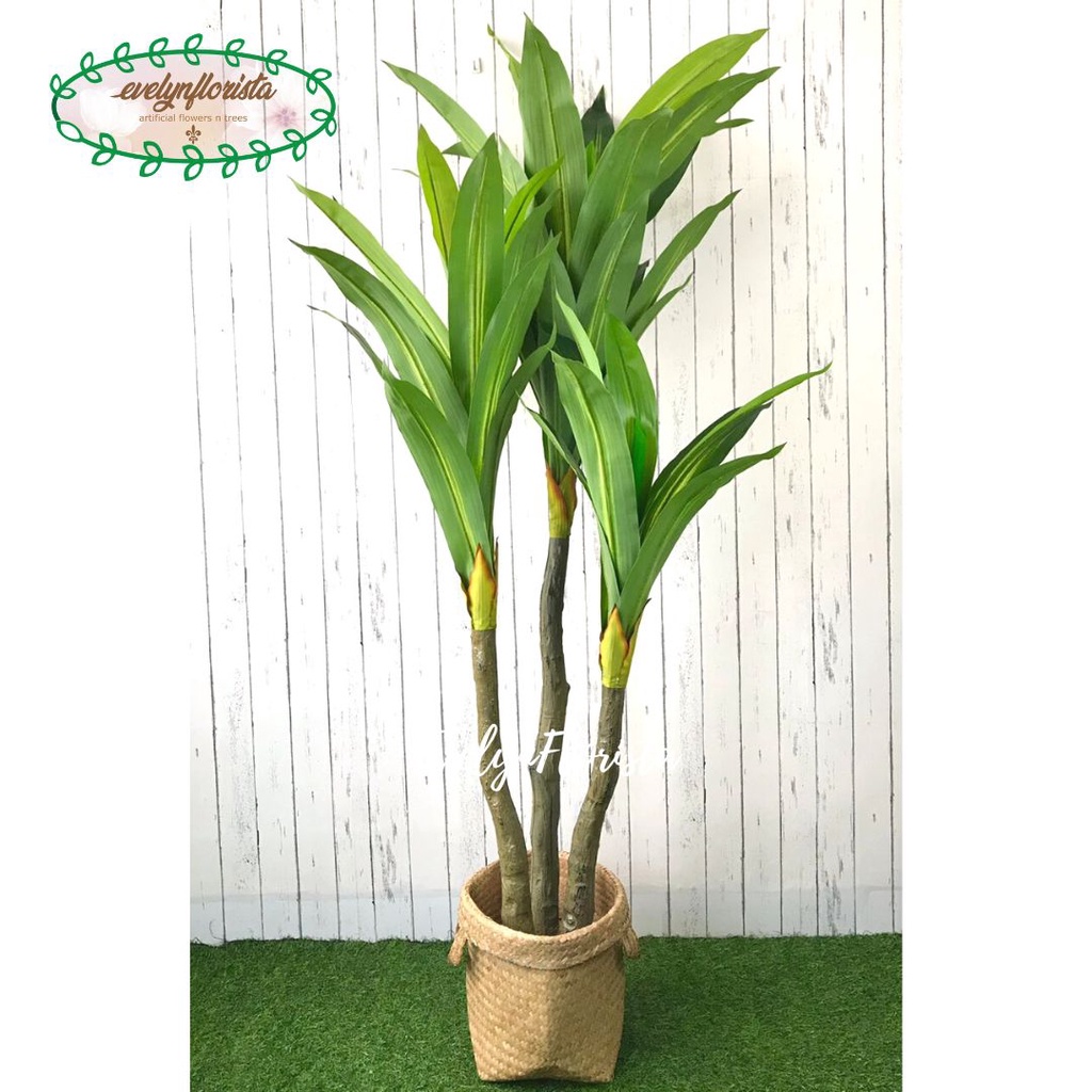 Jual Pohon Daun Pandan Bali X3 T180 Latex Artificial Cover Pot Anyaman ...