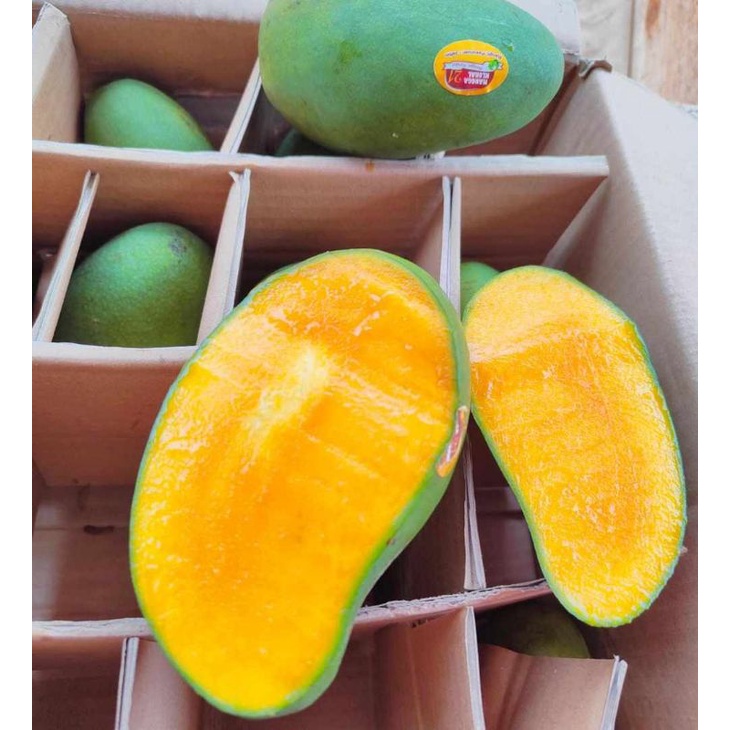 Jual Mangga alpukat 5kg dus mangga klonal tropical mangga | Shopee ...