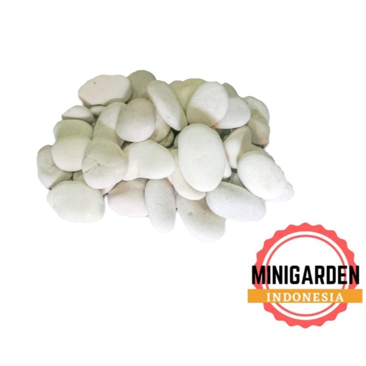 Jual BATU KORAL PUTIH ECER 500 GRAM batu taman hias batu kupang putih ...