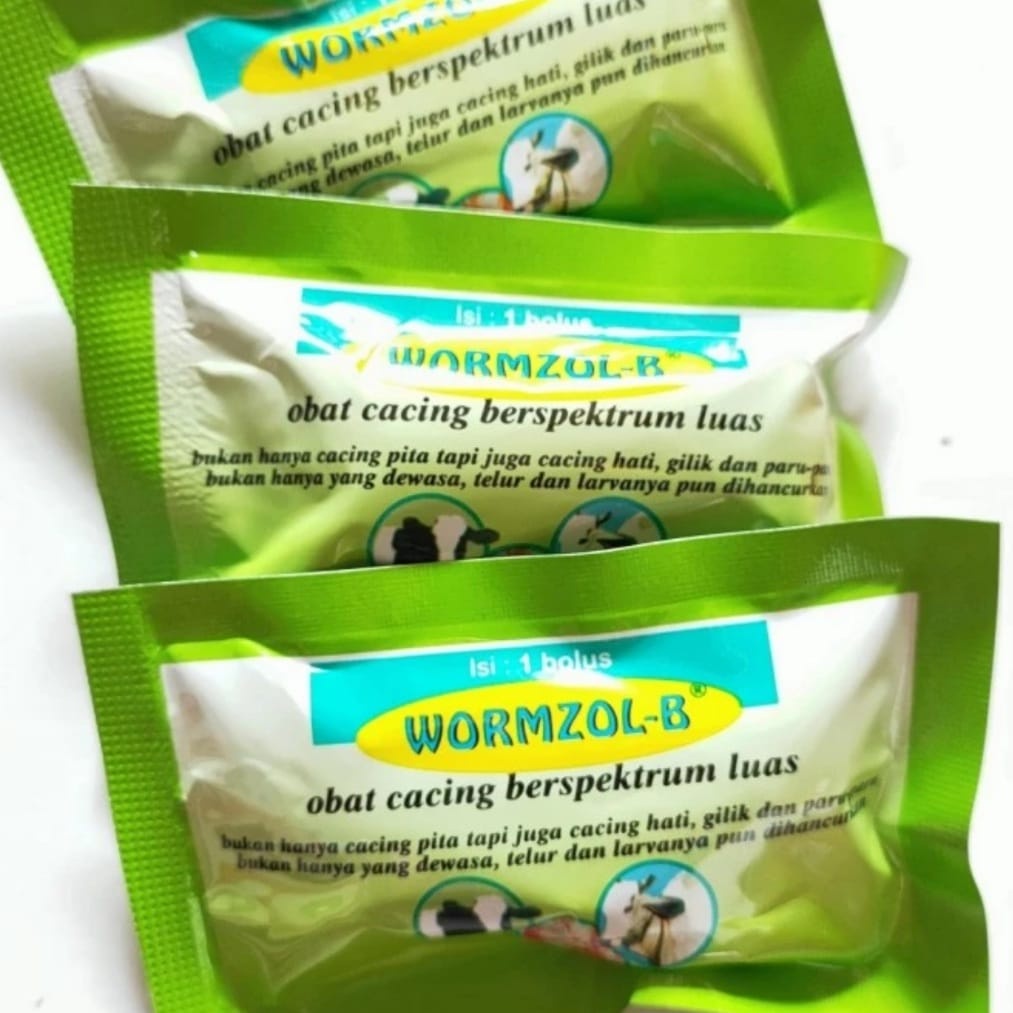 Jual WORMZOL B 1 BOLUS SACHET - Obat Cacing Cacingan Sapi Kerbau Kuda Kurus | Shopee Indonesia