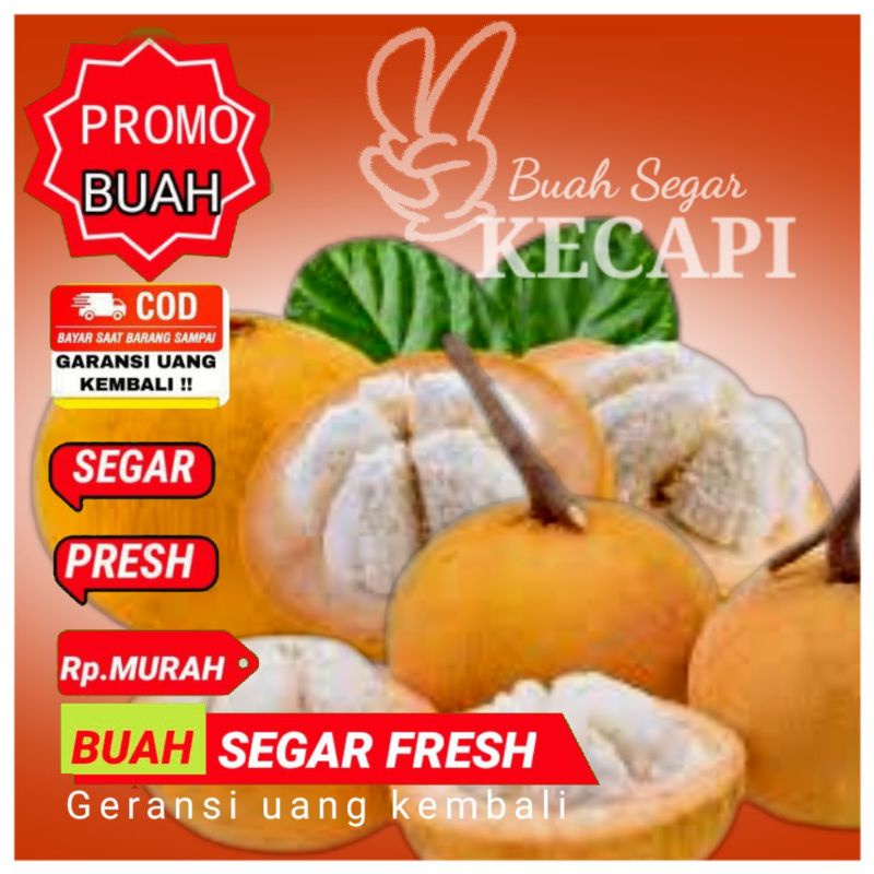 Jual BUAH KECAPI MANIS 1KG | Shopee Indonesia Jual BUAH KECAPI MANIS 1KG | Shopee Indonesia