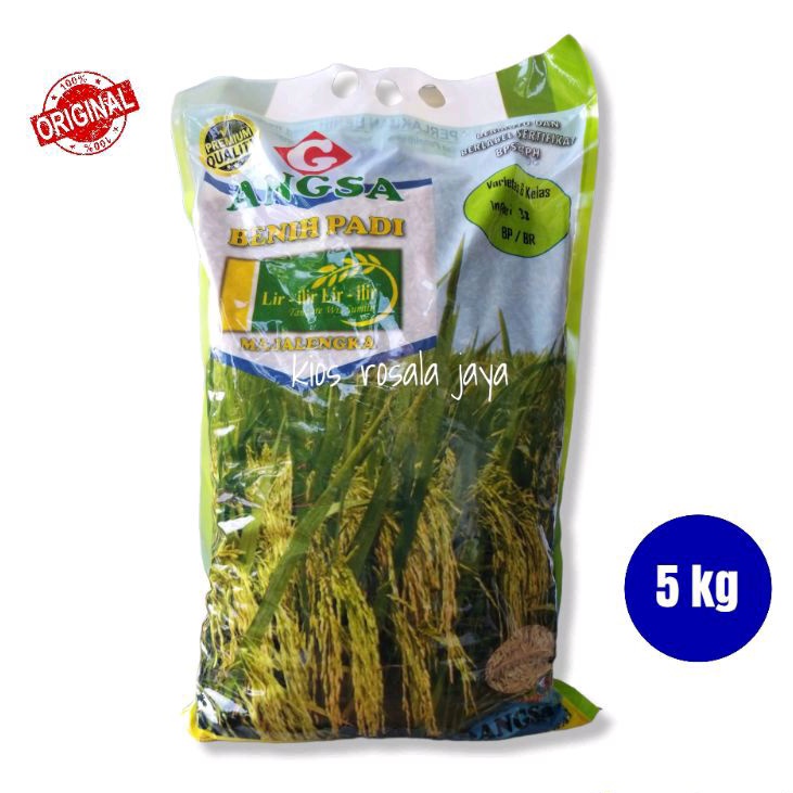 Jual Benih Padi Unggul INPARI 32 HDB Premium | Shopee Indonesia