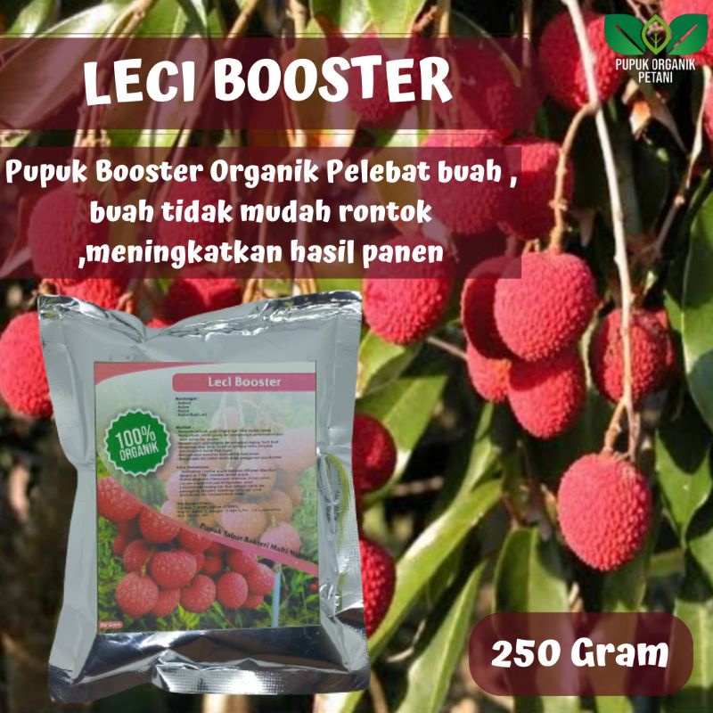 Jual Pupuk booster organik leci khusus leci agar cepat berbuah lebat tidak mudah rontok pupuk ...