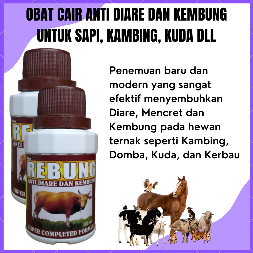 Jual OBAT DIARE MENCRET KEMBUNG UNTUK HEWAN TERNAK EFEKTIF MENGOBATI ...