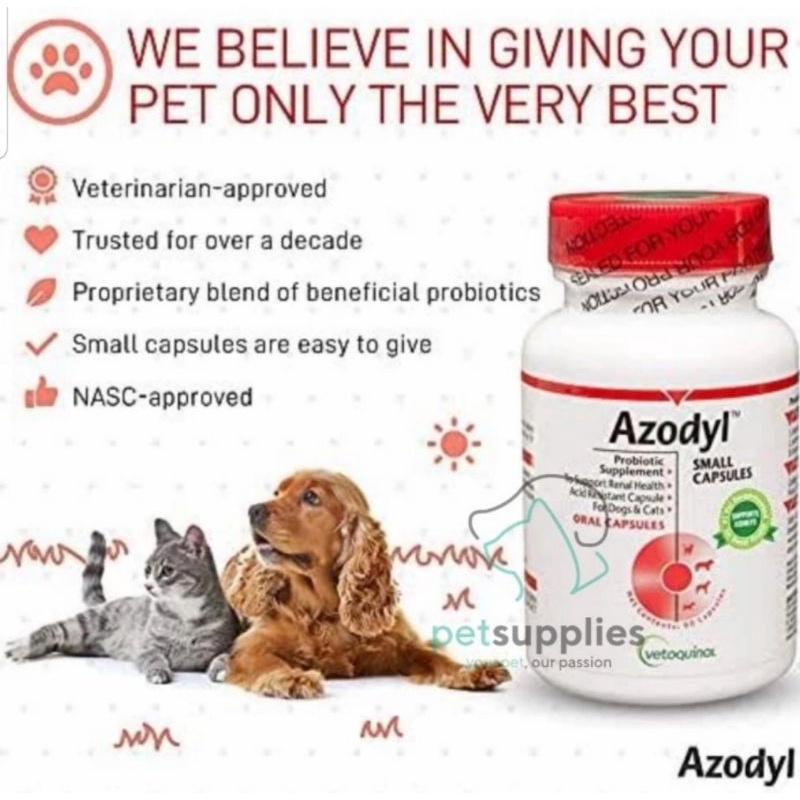 Jual Azodyl Isi 90 Caps Botol Segel Expired Panjang | Shopee Indonesia