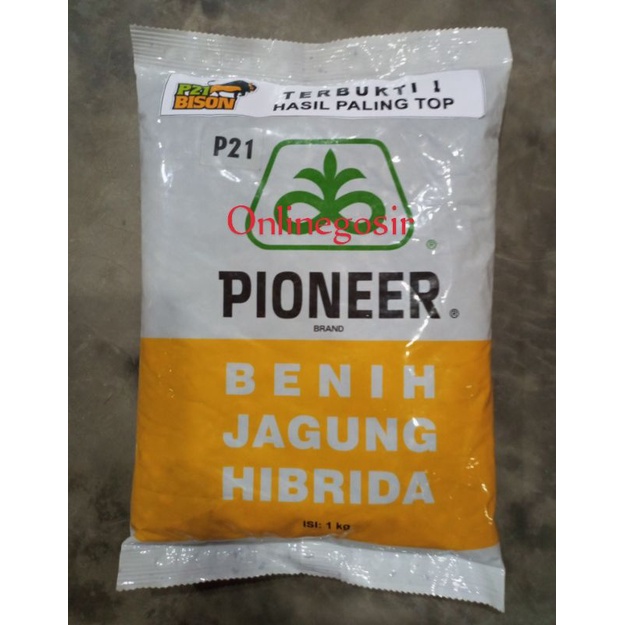 Jual Benih Jagung Pioneer P21 kemasan 1kg | Shopee Indonesia