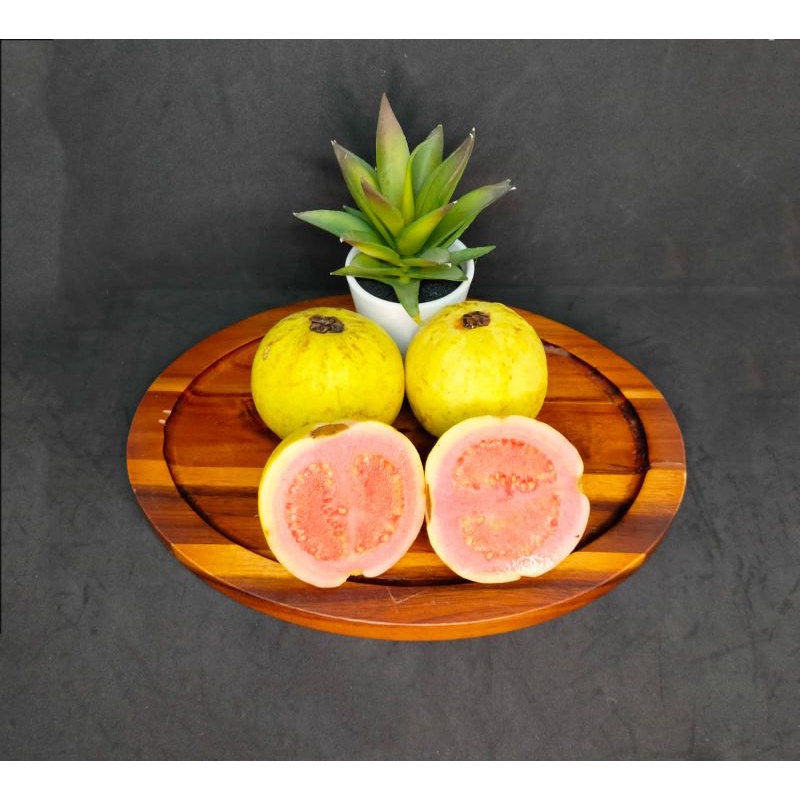 Jual Jambu merah ,jambu biji murah,buah jambu segar,buah fresh ...