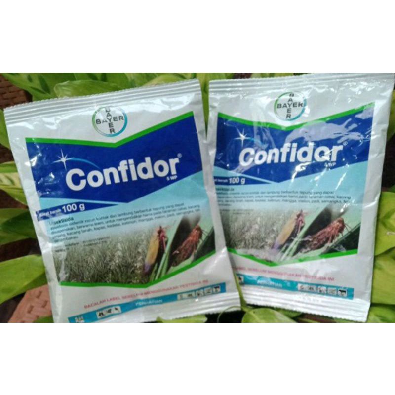 Jual Confidor 100gr insektisida pestisida Obat Pertanian obat sawah ...