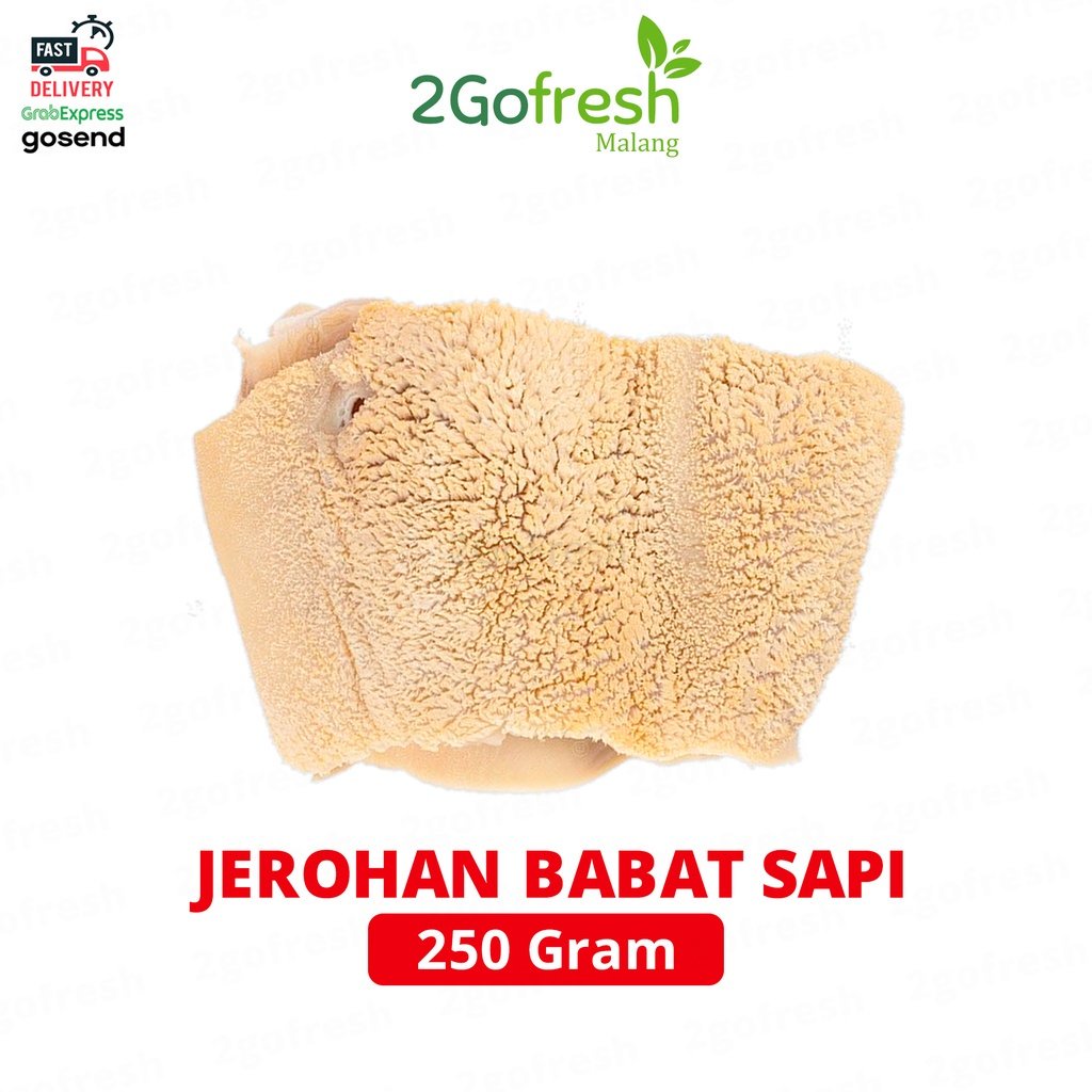 Jual Jerohan / Jeroan Babat Sapi Fresh - Sayur Sayuran | Shopee Indonesia