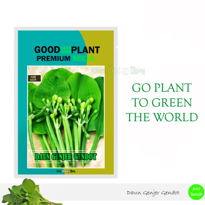 Jual 100 biji - Benih Bibit Daun Genjer Gendot Sawah Sayuran ...
