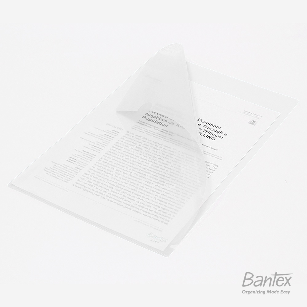 Jual Map L Plastik Bening Clear Sleeve L Folder Folio F4 Transparan ...