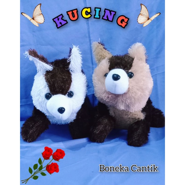 Jual Boneka kucing berbulu kucing lucu boneka cantik | Shopee Indonesia