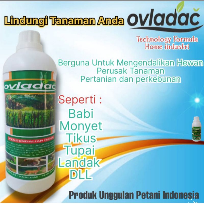 Jual Pembasmi Hama Babi OVLADAC 1000 ML/Racun Hama Pengusir Hama Babi ...