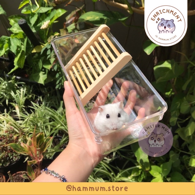 Jual Toilet Hamster Size S | Hamster Acrylic Sand Tub Small | Tempat ...