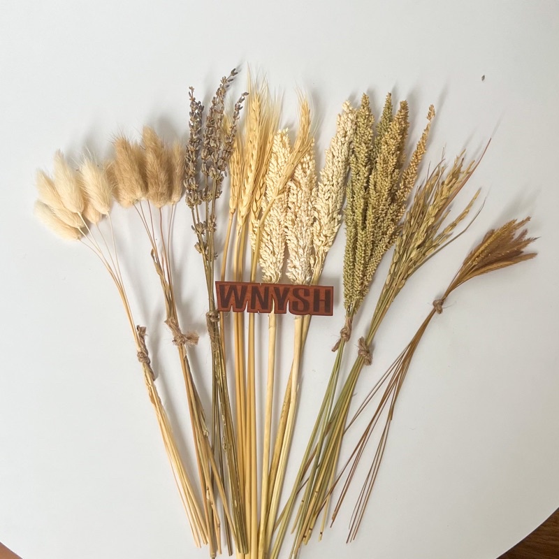 Jual All dried flower, bunga kering, bunga ilalang, bunga edelweis ...