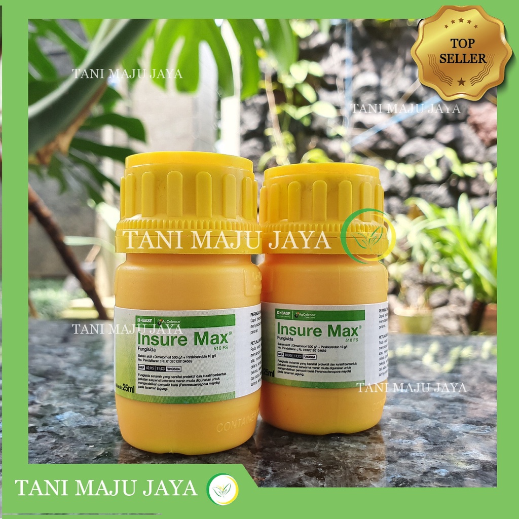 Jual Fungisida Insure Max 510FS 25 ml Obat Pengendali Bulai Jagung ...