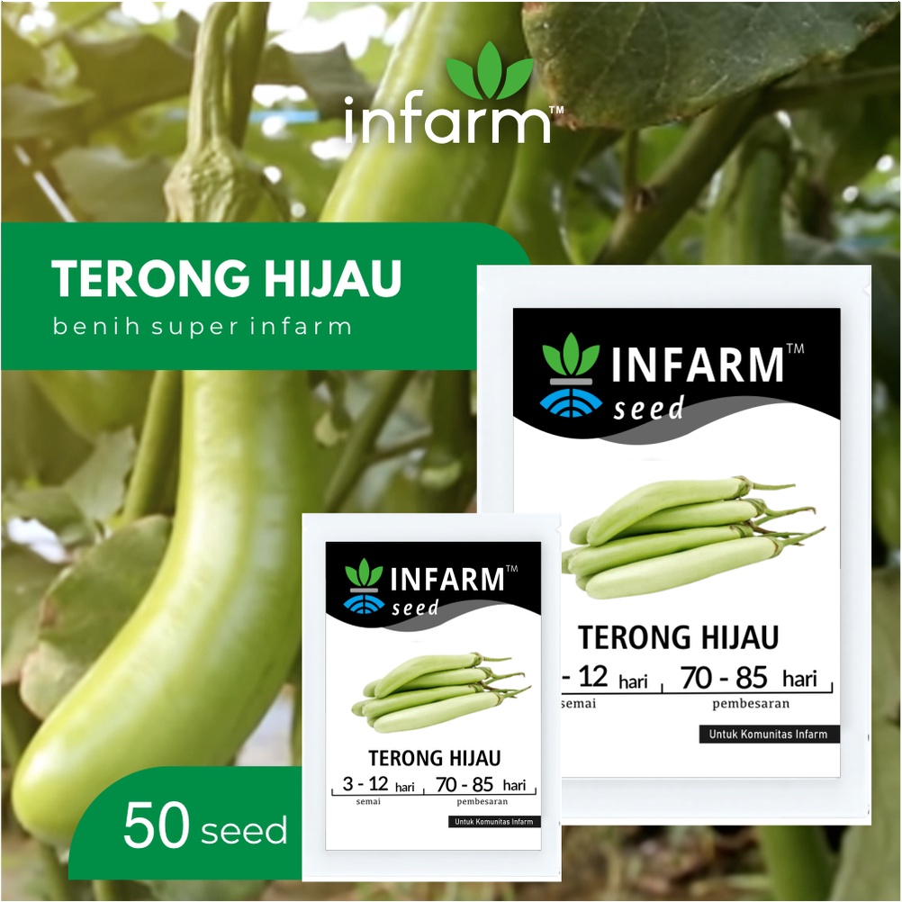 Jual INFARM - Benih Bibit Biji Super Terong Hijau Panjang | Shopee ...