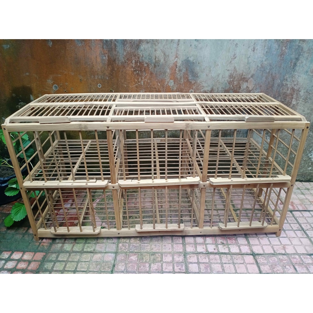 Jual Dongdang Merpati 6 Pintu Termurah | Dondang Merpati Full Bambu ...