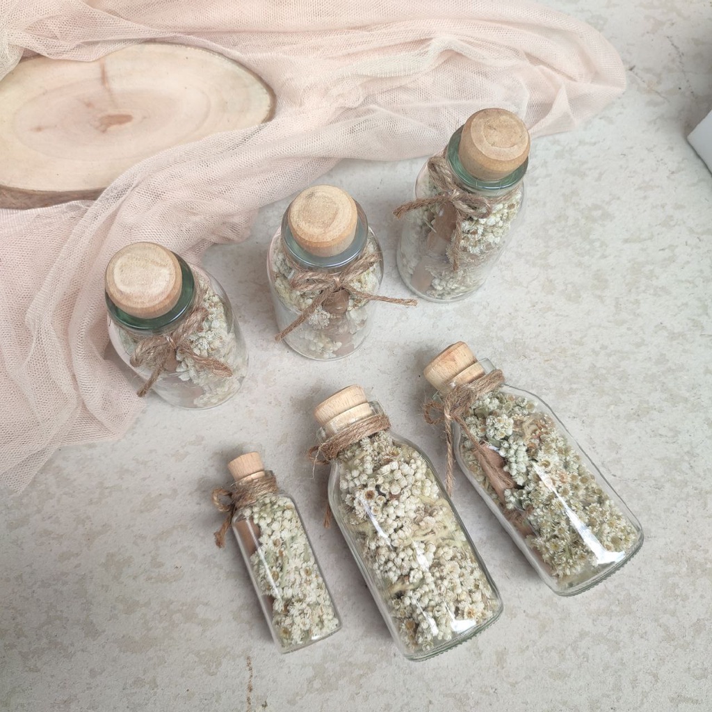 Jual Bunga Kering Dalam Botol Message In Bottle Hydrangea Message In