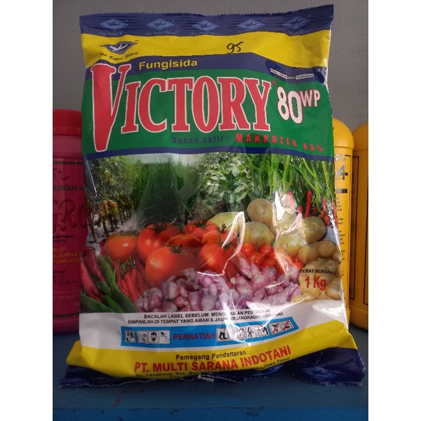 Jual VICTORY 80WP 1Kg | Shopee Indonesia