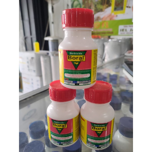 Jual herbisida BORAL 100 ML | Shopee Indonesia