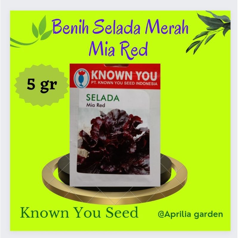 Jual Benih Selada Merah Mia Red 5gr Known You Seed | Shopee Indonesia