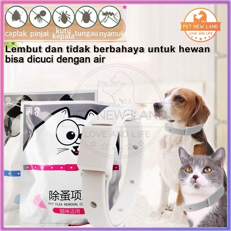 Jual Kalung Anti Kutu Kucing Anjing Anti Serangga Pinjal Dapat ...