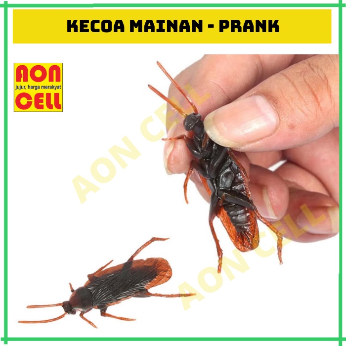Jual kecoa mainan prank | Shopee Indonesia