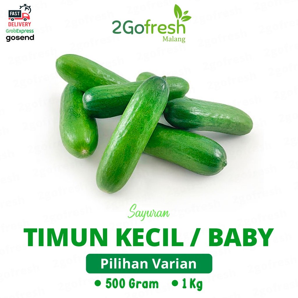 Jual Timun Kecil/ Mentimun Baby Fresh - Sayur Sayuran | Shopee Indonesia