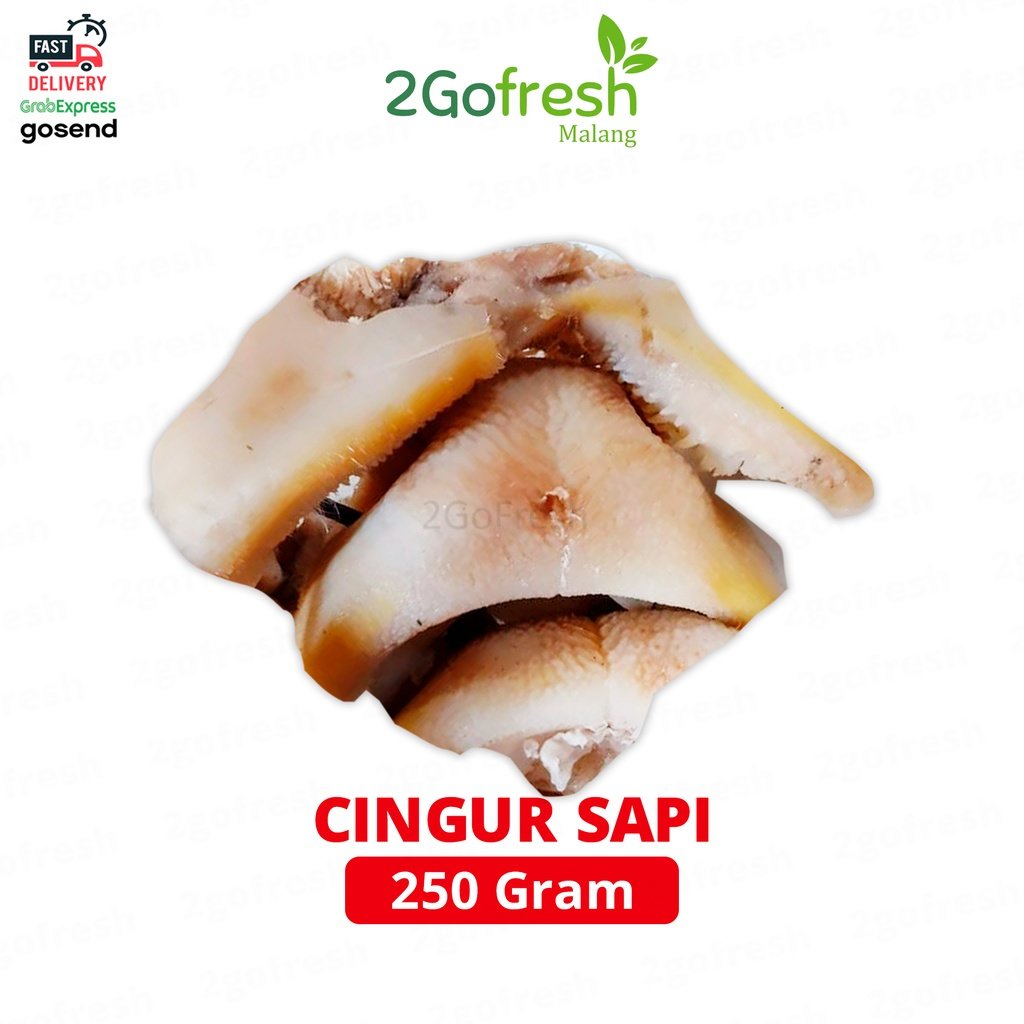 Jual Cingur Sapi / Mulut Sapi Fresh - Sayur Sayuran | Shopee Indonesia