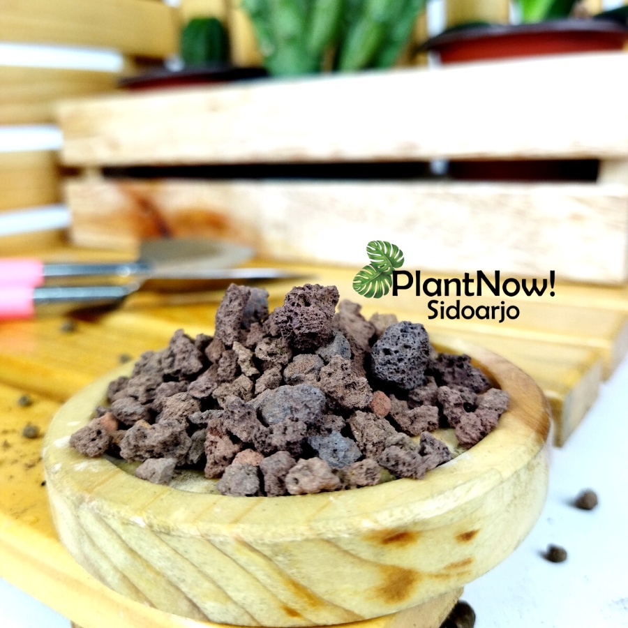 Jual Media Tanam Pasir Vulkanik Merah Lavarock Lava Rock Size 2 - 1kg ...