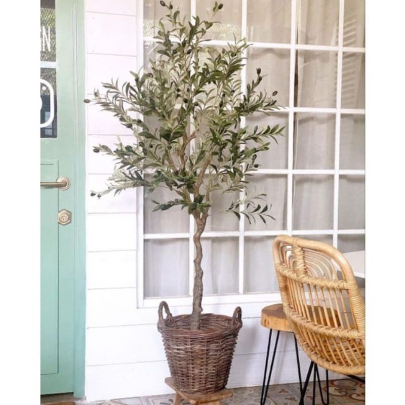 Jual DAUN ZAITUN ARTIFICIAL / OLIVE TREE ARTIFICIAL | Shopee Indonesia