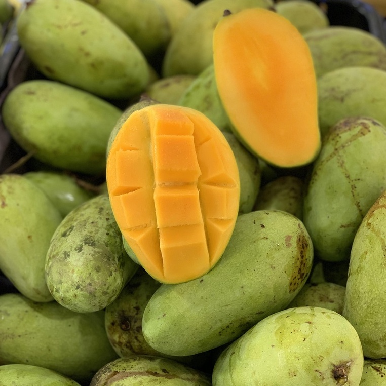 Jual ALPUKAT BANG PANJI - MANGGA BUDI RAJA Matang | Shopee Indonesia