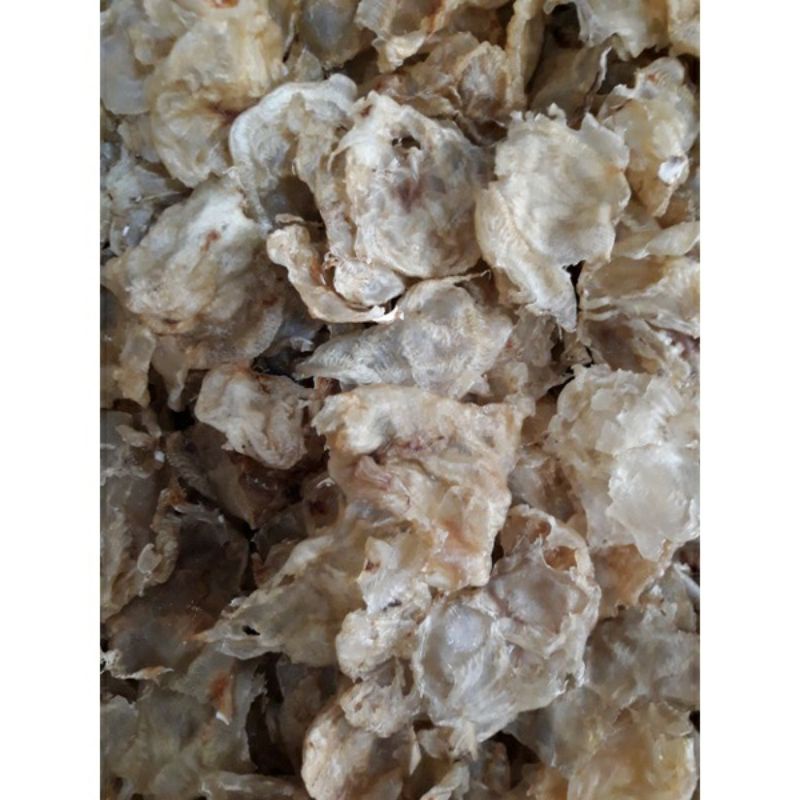 Jual Perut ikan engphiau hipio manyong manyung mentah ukuran kecil 500 ...