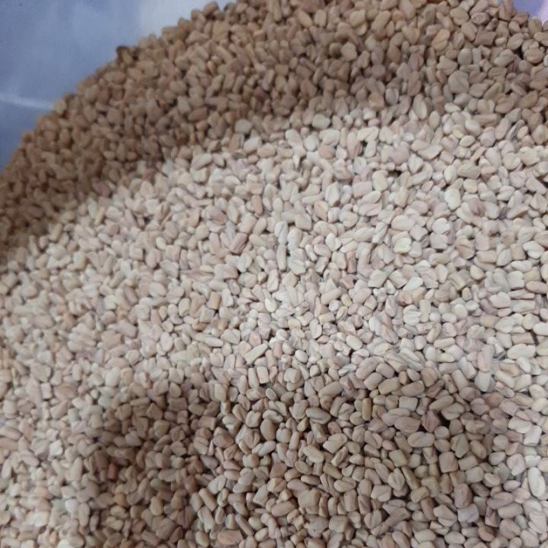 Jual HALBA/KLABAT/FENUNGREEK SEED 1KG | Shopee Indonesia