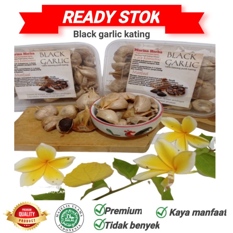 Jual Black garlic kating 500 gr herbal buat kesehatan | Shopee Indonesia