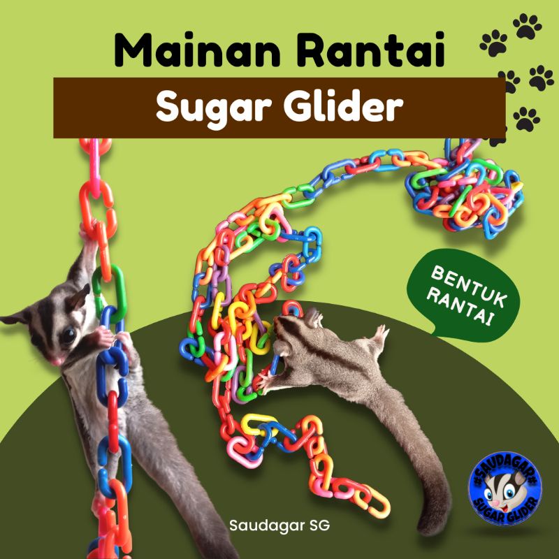 Jual Rantai Mainan Sugar Glider Oval Penghias kandang | Shopee Indonesia