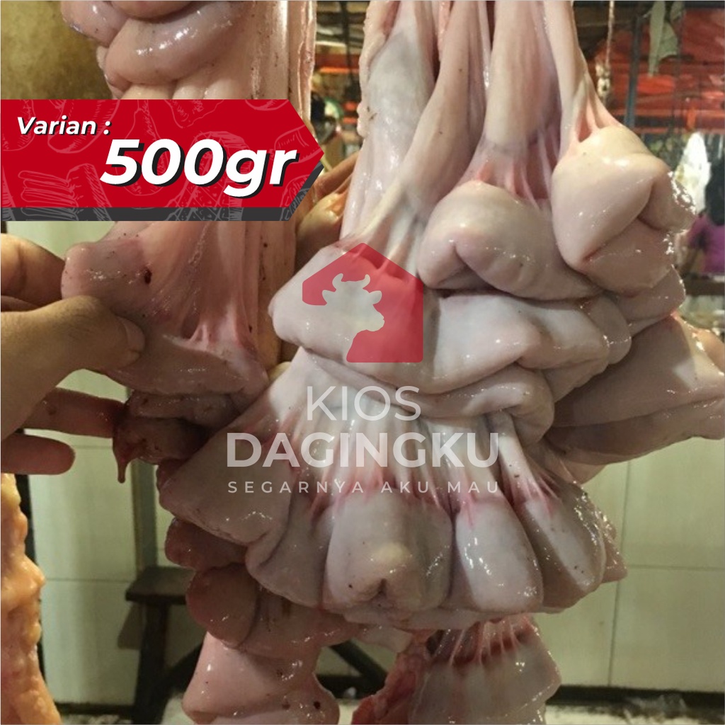 Jual Usus Sapi Mentah / ISO Sapi @500gr | Shopee Indonesia