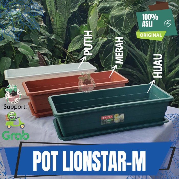 Jual POT BUNGA PERSEGI PANJANG LION STAR ORIGINAL POT TANAMAN HIAS PLUS ...