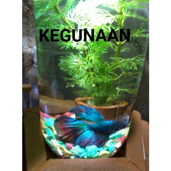 Jual botol wadah ikan hias