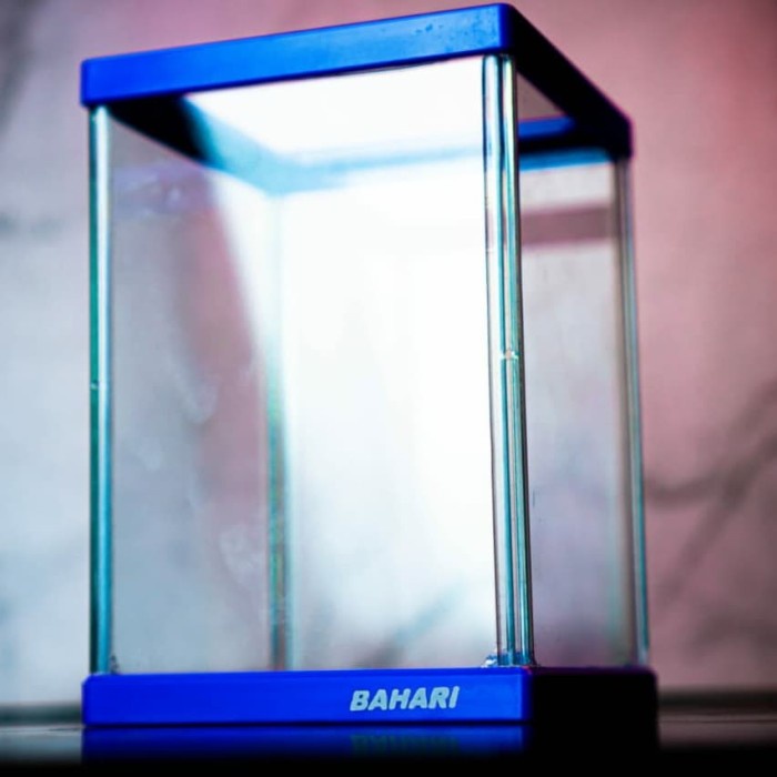 Jual aquarium cupang premium nisso bahari | Shopee Indonesia