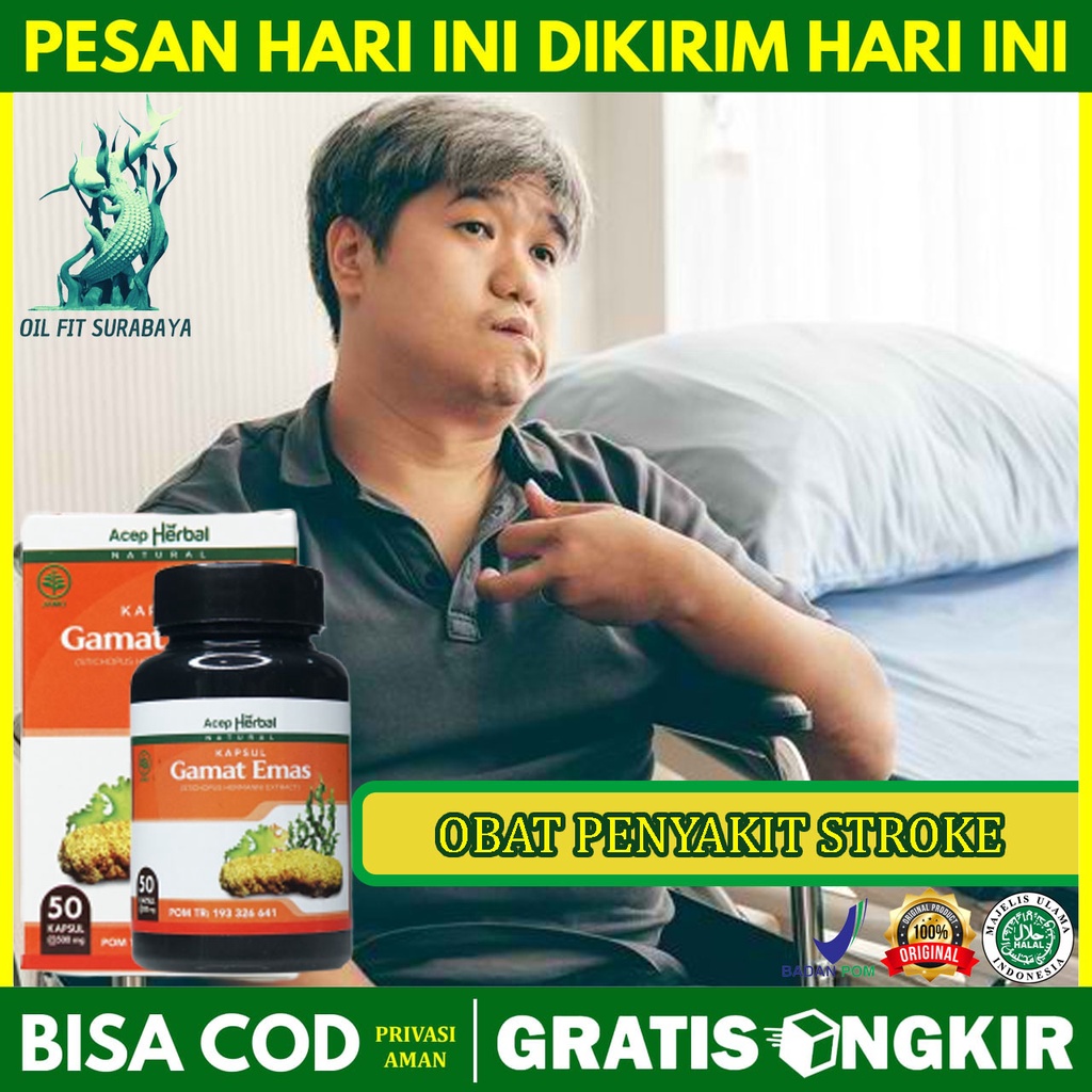 Jual Obat Untuk Penyakit Stroke Struk Setruk Sebelah - Obat Stroke ...