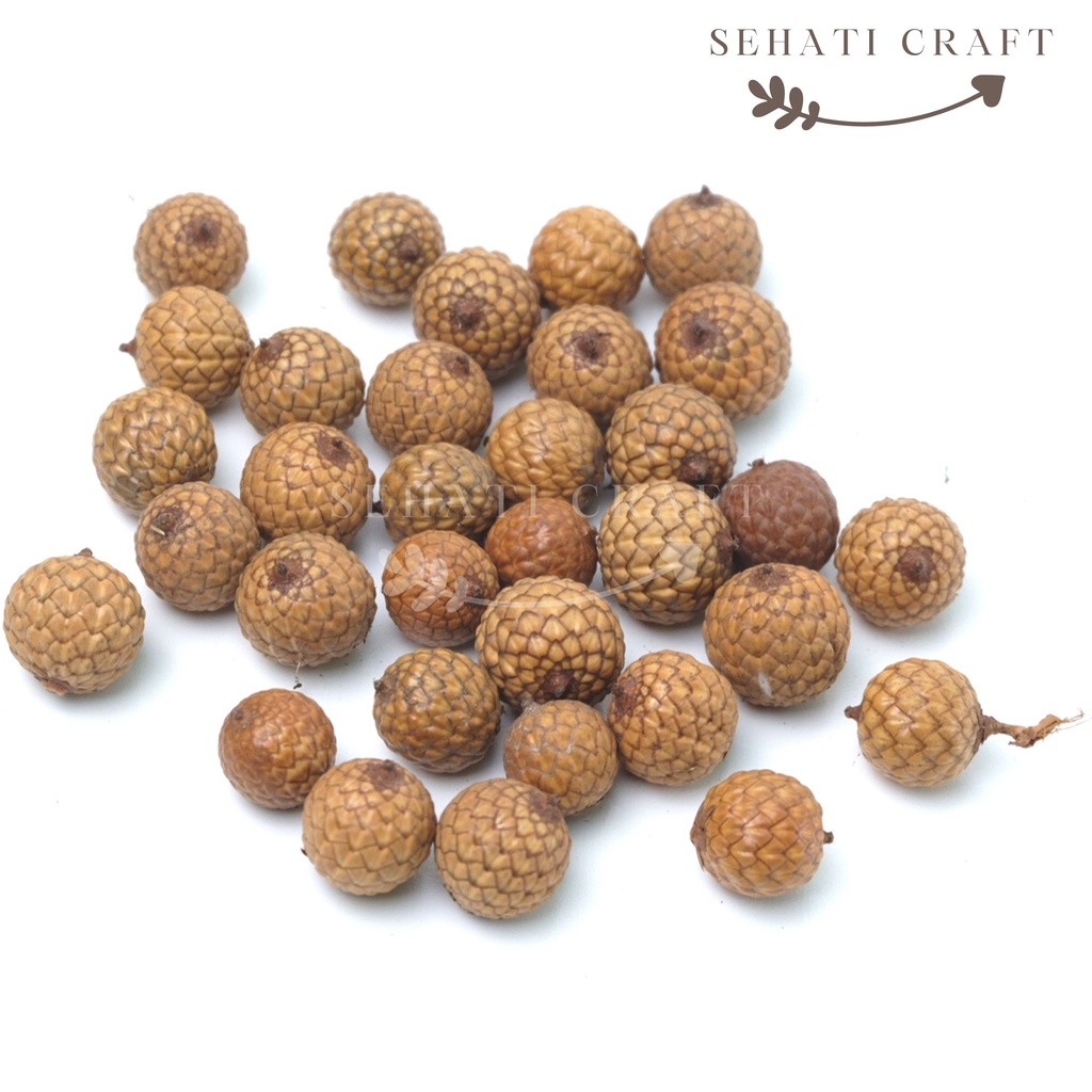 Jual Biji Rotan Bulat Rustic | Shopee Indonesia