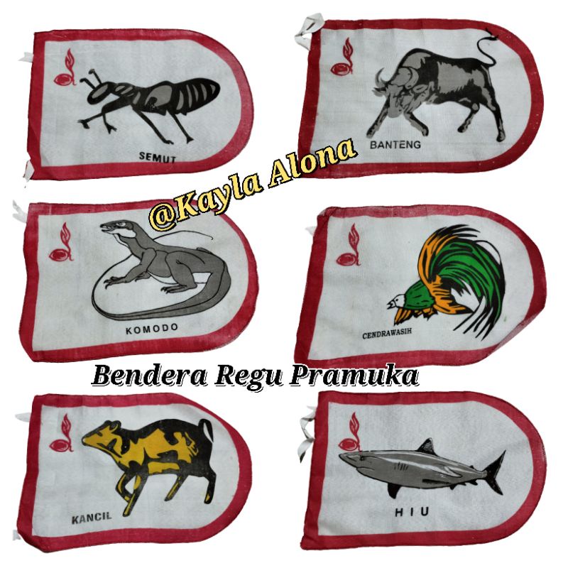Jual BENDERA REGU PRAMUKA untuk PUTRA / BENDERA REGU HEWAN | Shopee ...