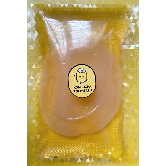 Jual XL Scoby / BIG SCOBY / Scoby Besar 25 Cm/ Scoby Diameter 25 Cm ...